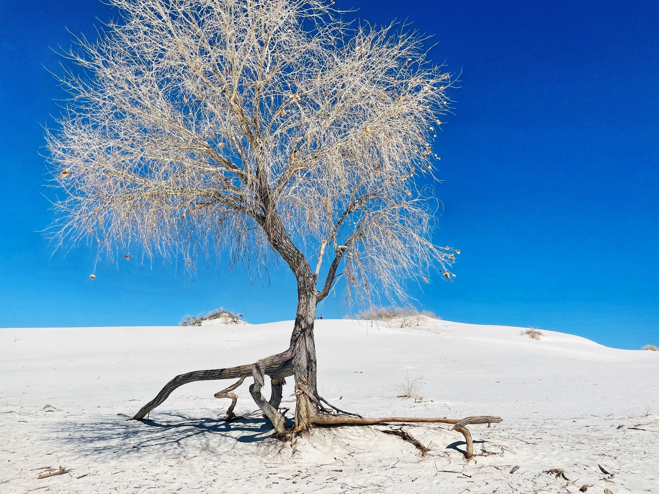 Becoming One With Nature, One Beautiful Quote At a Time | Mi Blog